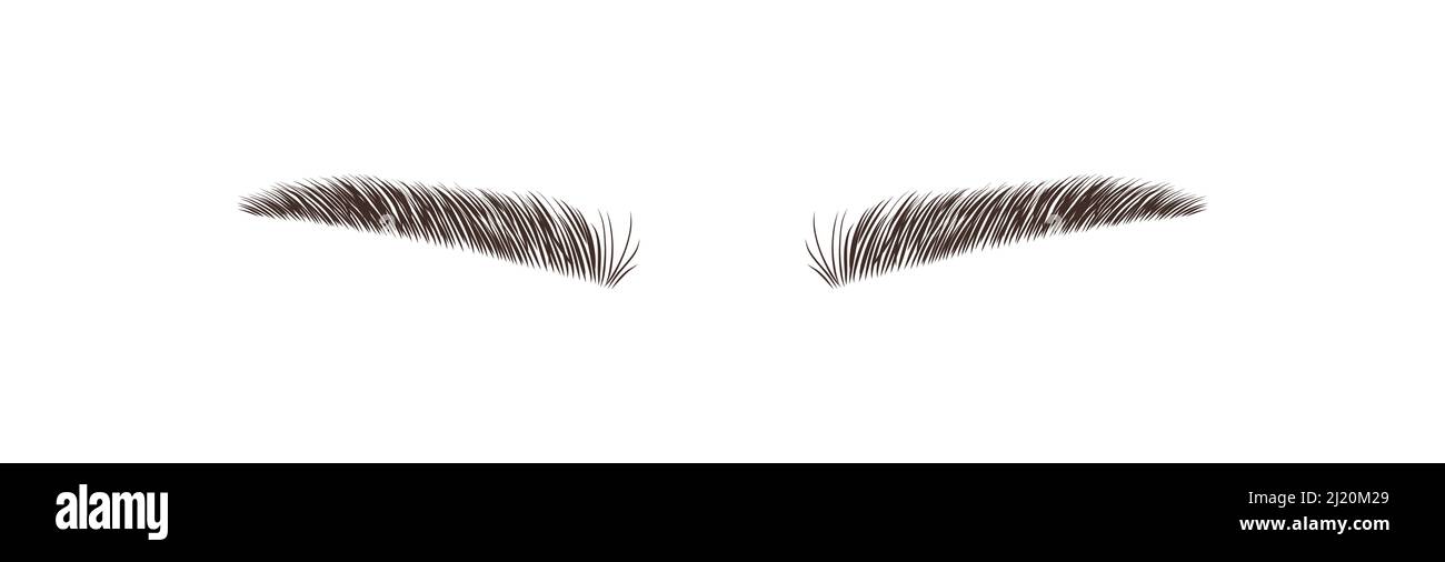 Sable style eyebrows. Permanent make-up and lamination. Brow studio ...