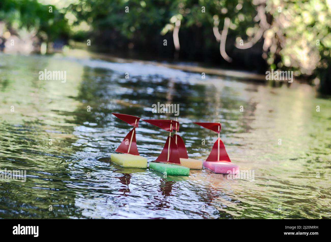 Regatta of homemade sailboats. Boats from kitchen sponges. Children's ...