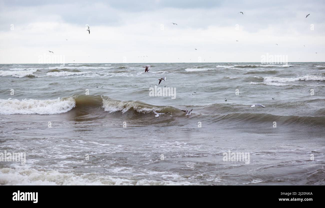 Ocean waves raging sea water wave hi-res stock photography and images ...
