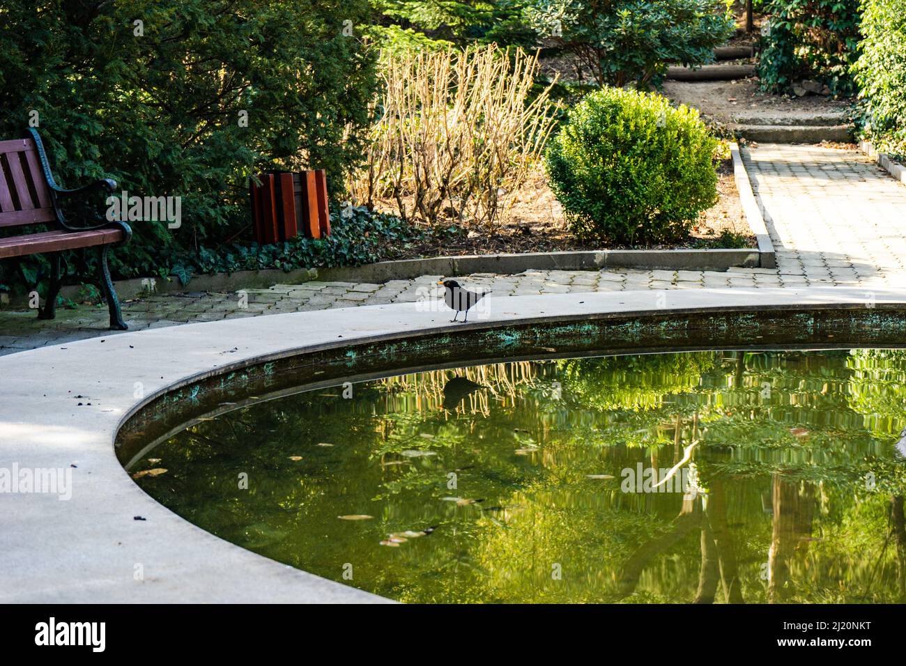 Spring in Tbilisi botanical garden, capital city of Georgia Stock Photo ...