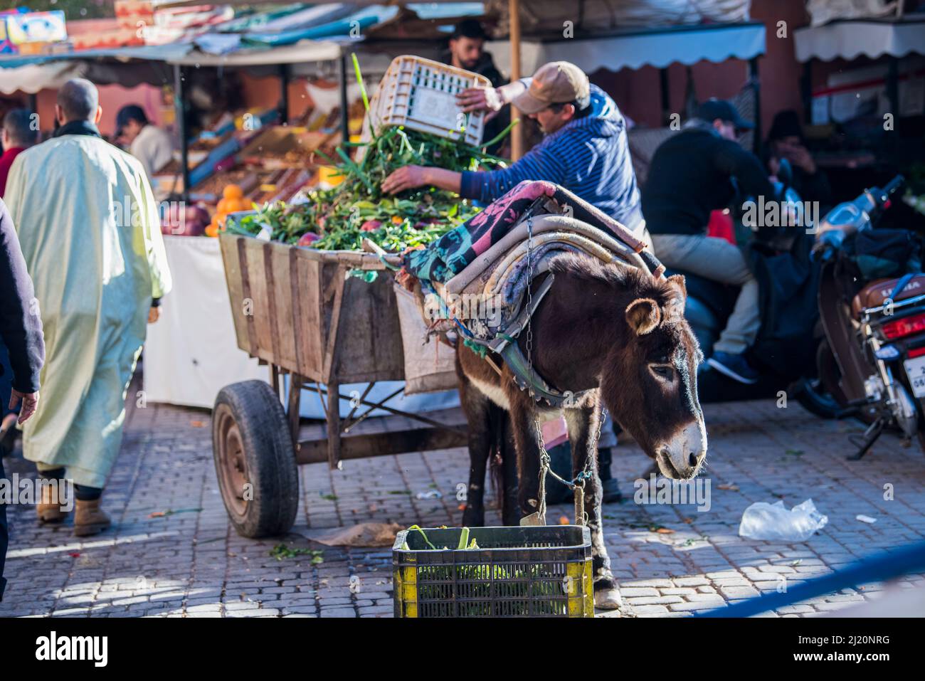 Marrakesh, Morocco - February 28, 2022: In the narrow streets of the ...