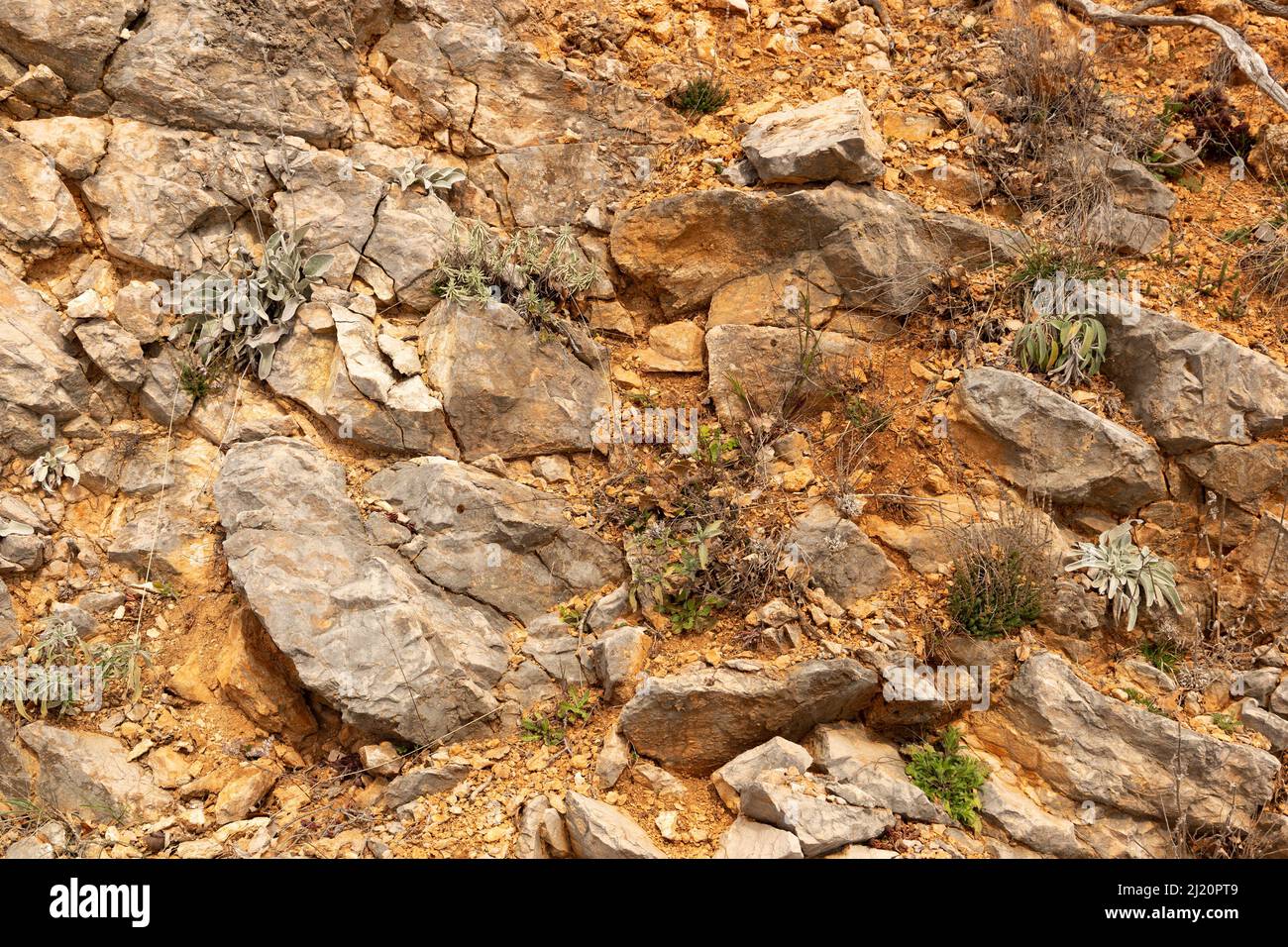 Stone rock natural texture. High-resolution nature background Stock ...
