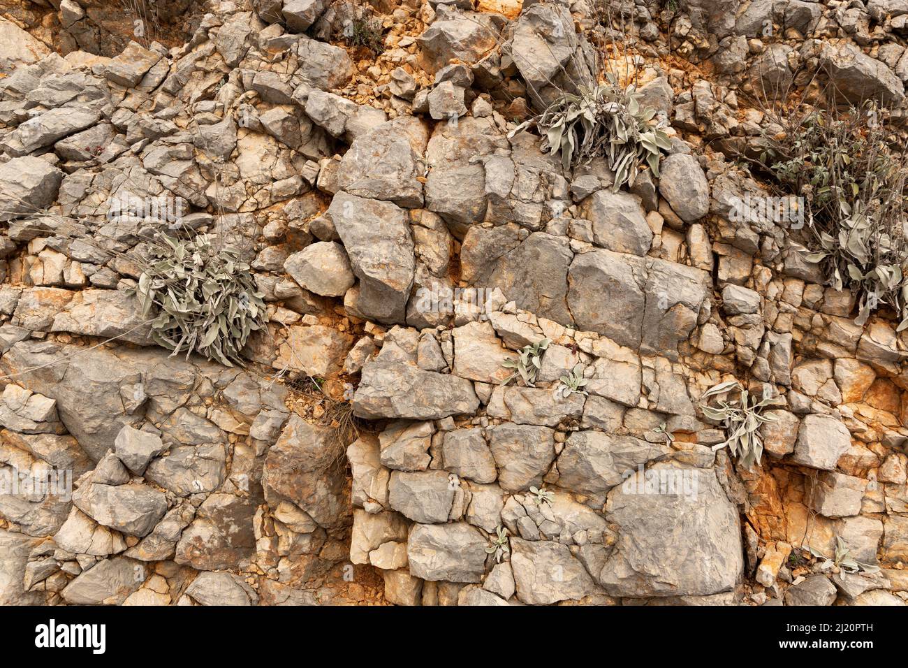 Stone rock natural texture. High-resolution nature background Stock ...