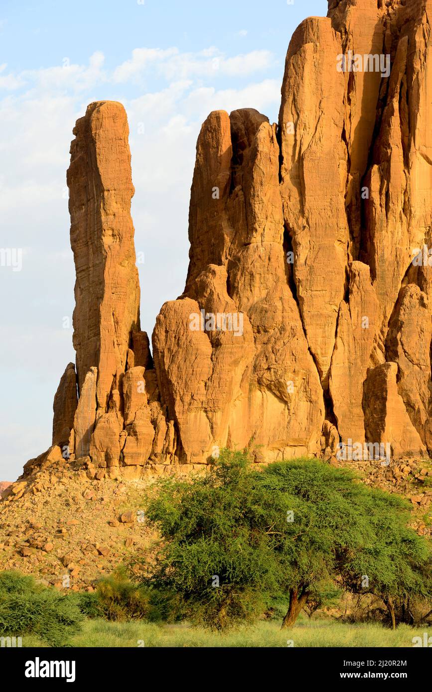 Sandstone rock formations in the Sahara desert. Ennedi Natural and ...