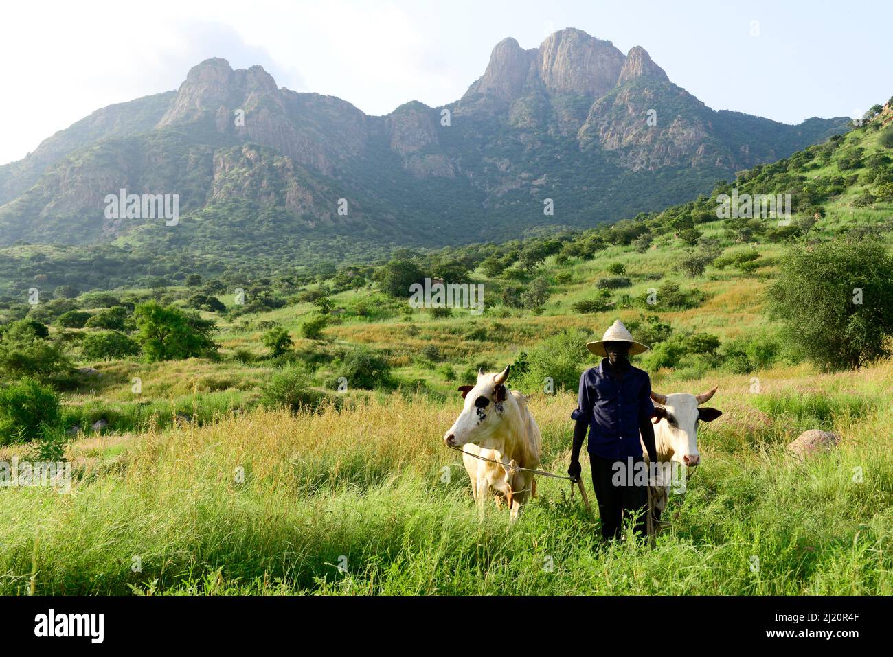 Chad africa landscape hi-res stock photography and images - Alamy