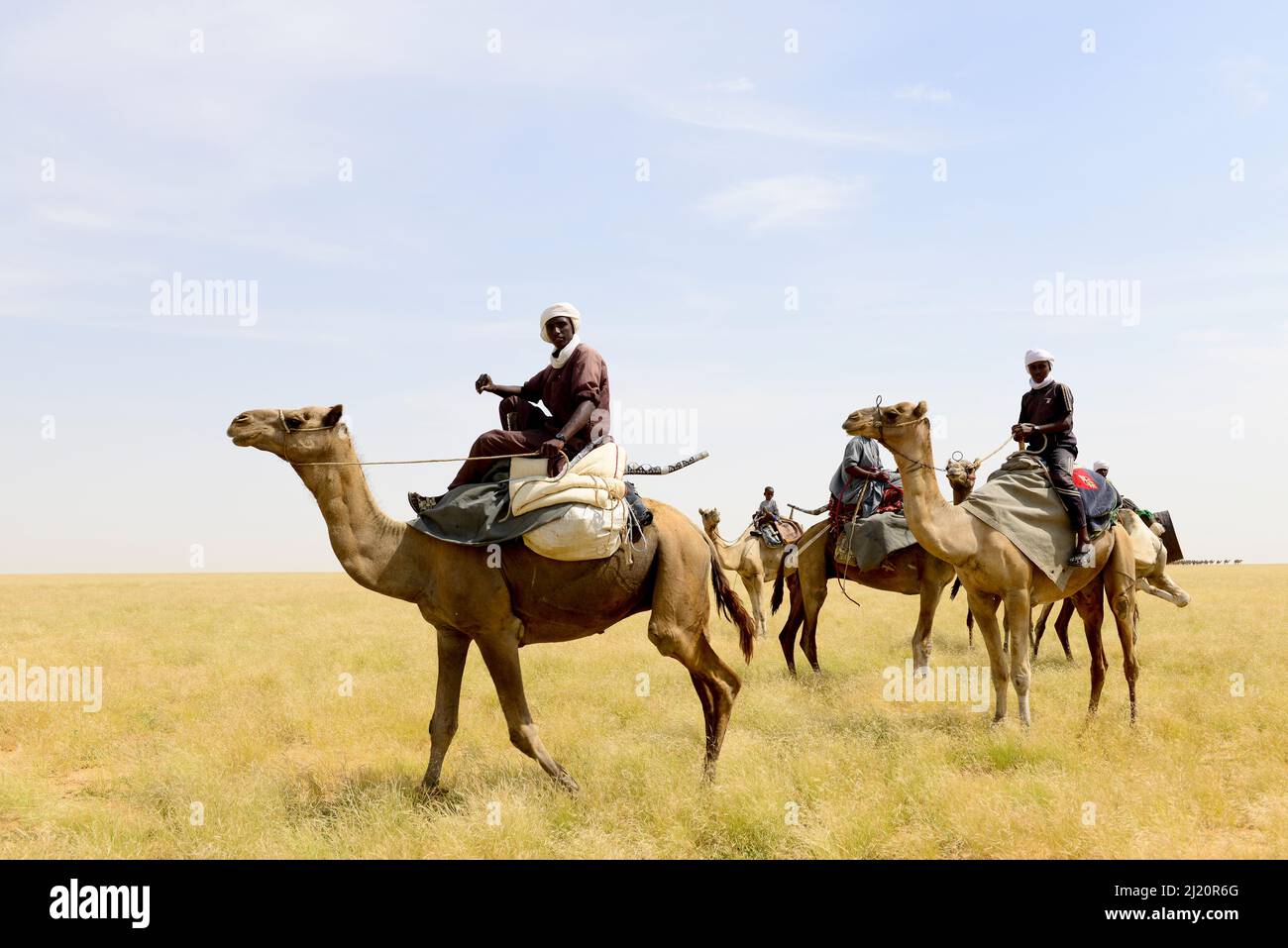 Nomads of the Goran ethnic group mounted on their Dromedary camels ...