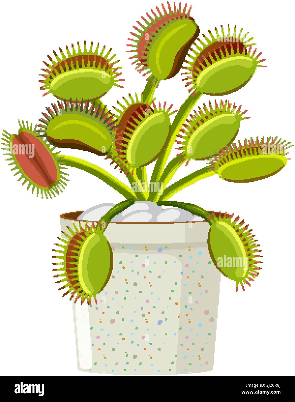 Venus flytrap Stock Vector Images - Alamy