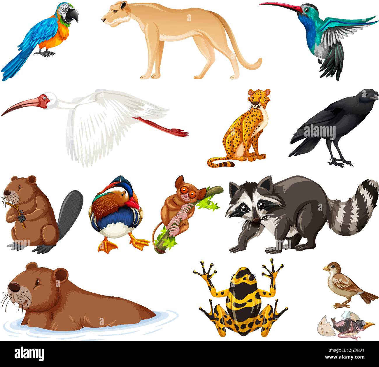Different kinds of animals collection illustration Stock Vector Image ...