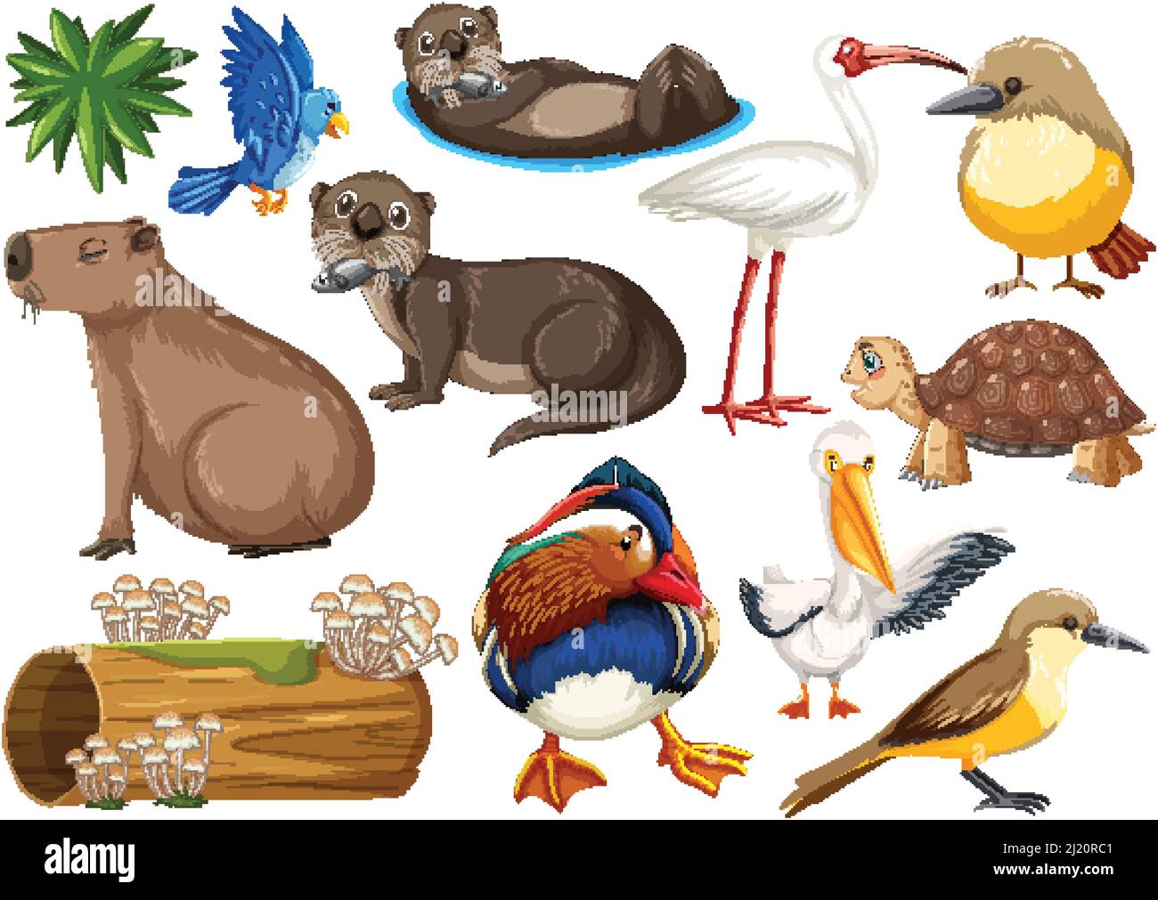 Different kinds of wild animals collection illustration Stock Vector ...