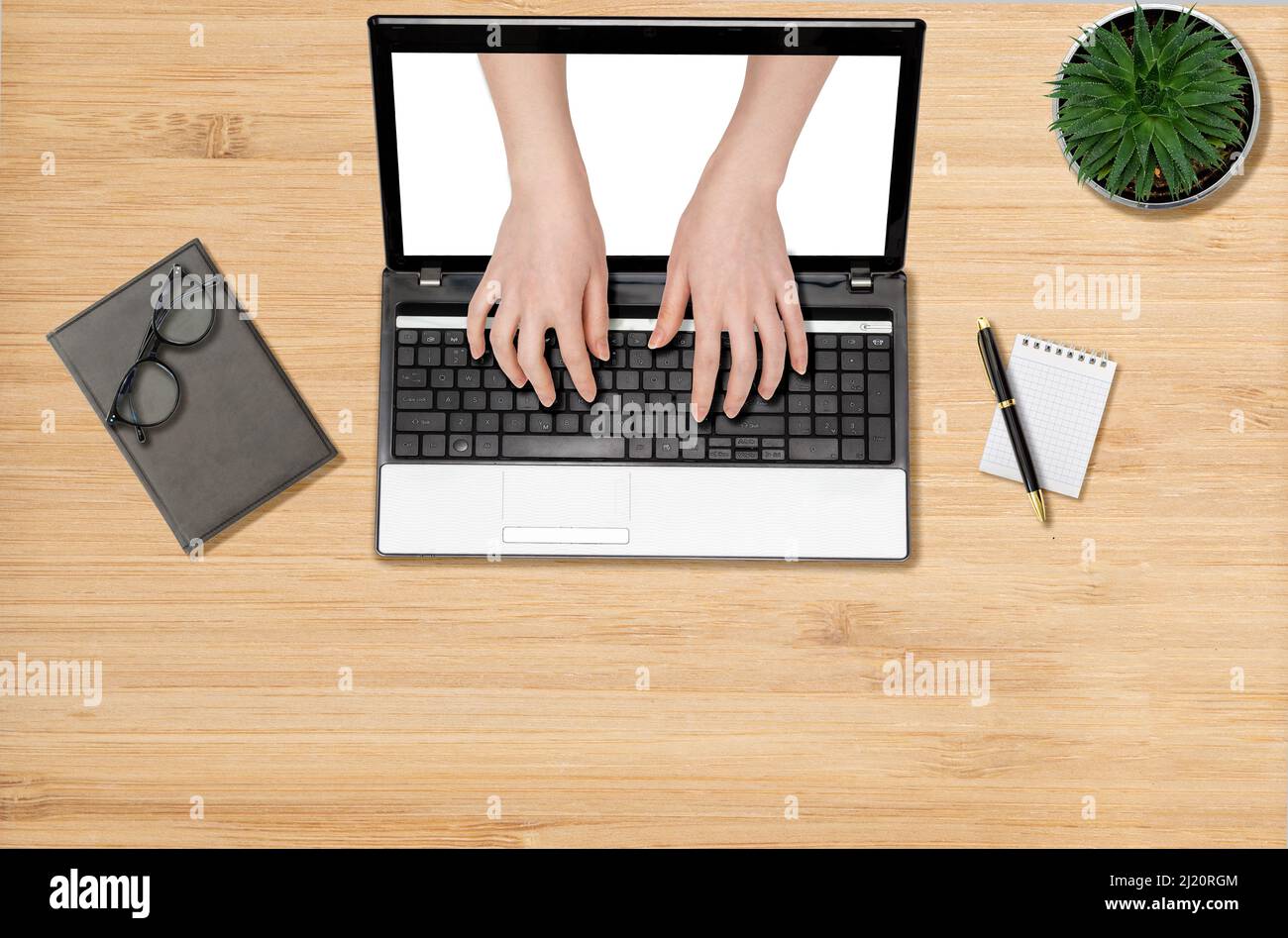 Women's hands are typing on a laptop, appearing from a computer screen ...