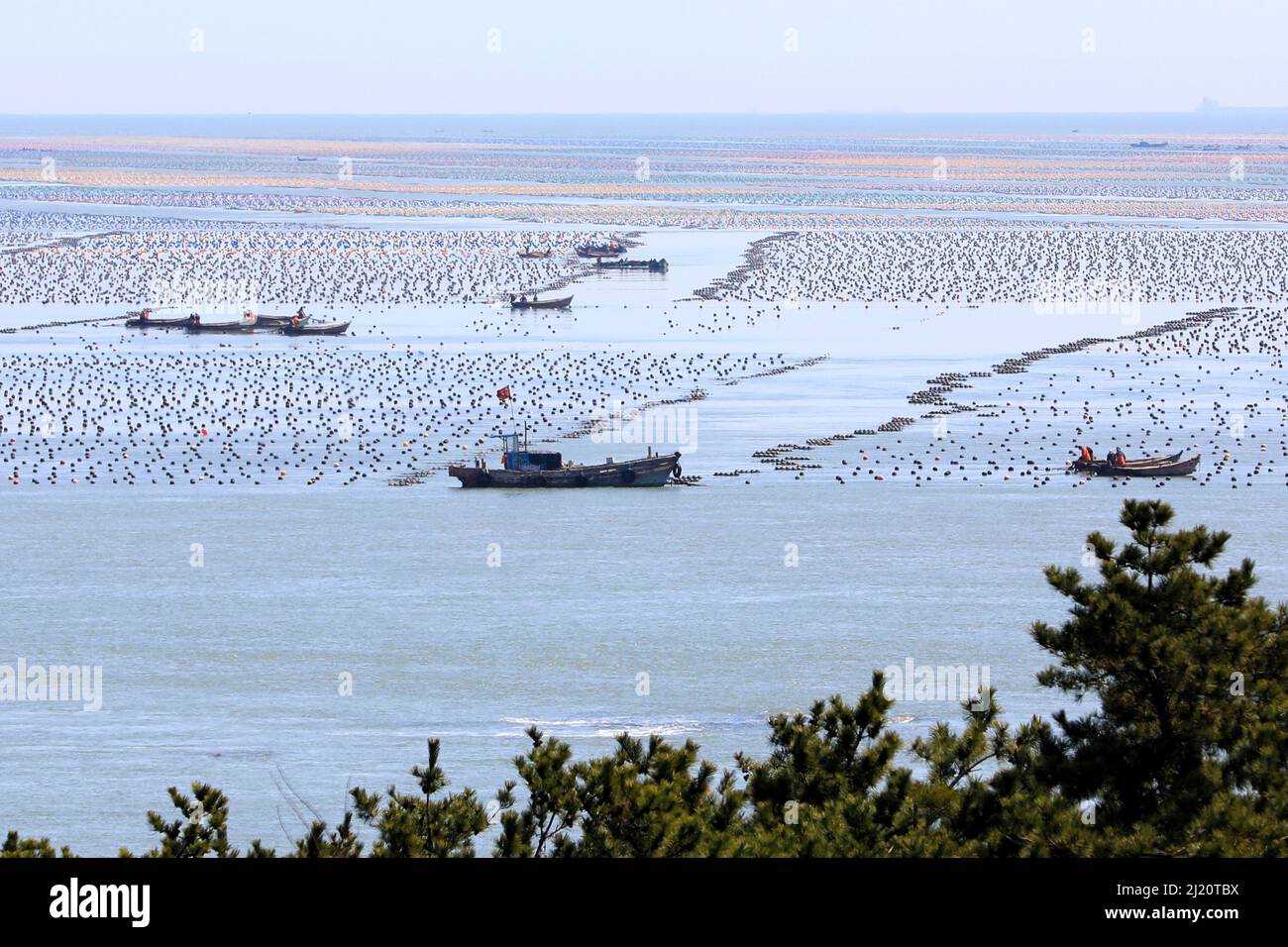 Shellfish waters hi-res stock photography and images - Alamy