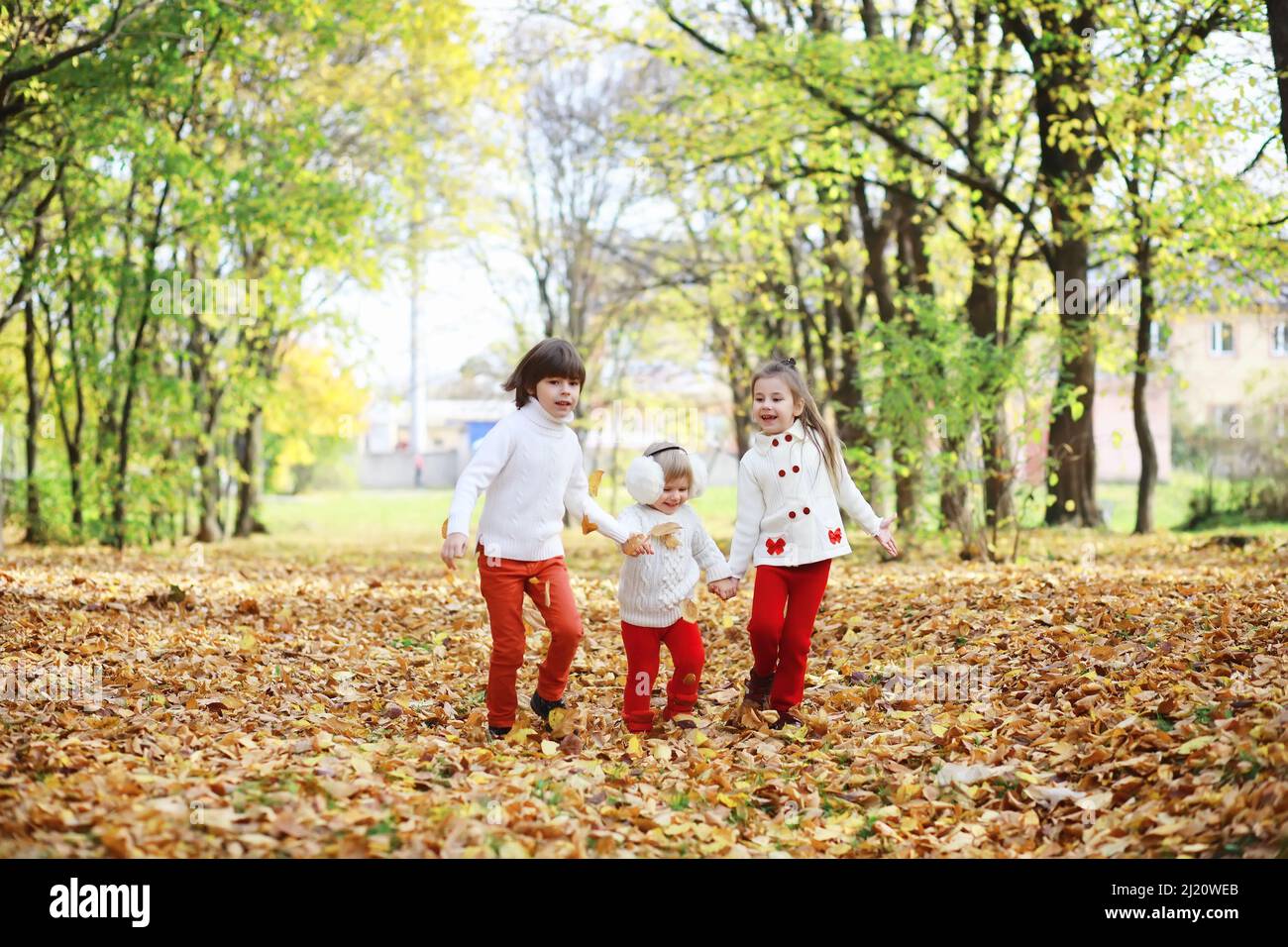 Children for a walk in autumn park. Leaf fall in the park. Family. Fall ...