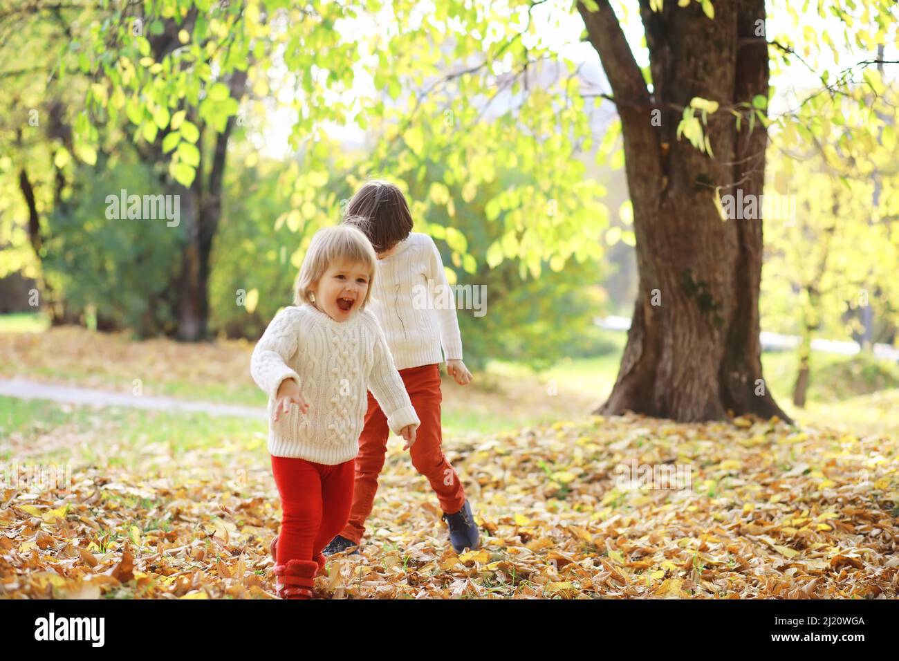 Children for a walk in autumn park. Leaf fall in the park. Family. Fall ...