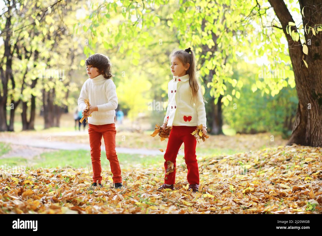 Children for a walk in autumn park. Leaf fall in the park. Family. Fall ...