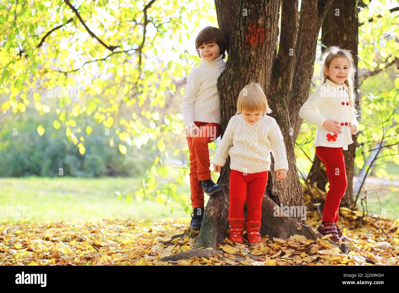 Children for a walk in autumn park. Leaf fall in the park. Family. Fall ...