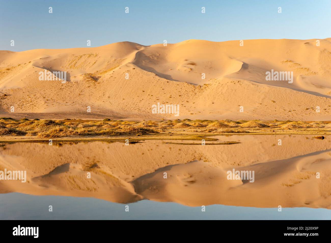 Khongoryn Els sand dunes and reflection in pond, South Gobi desert ...