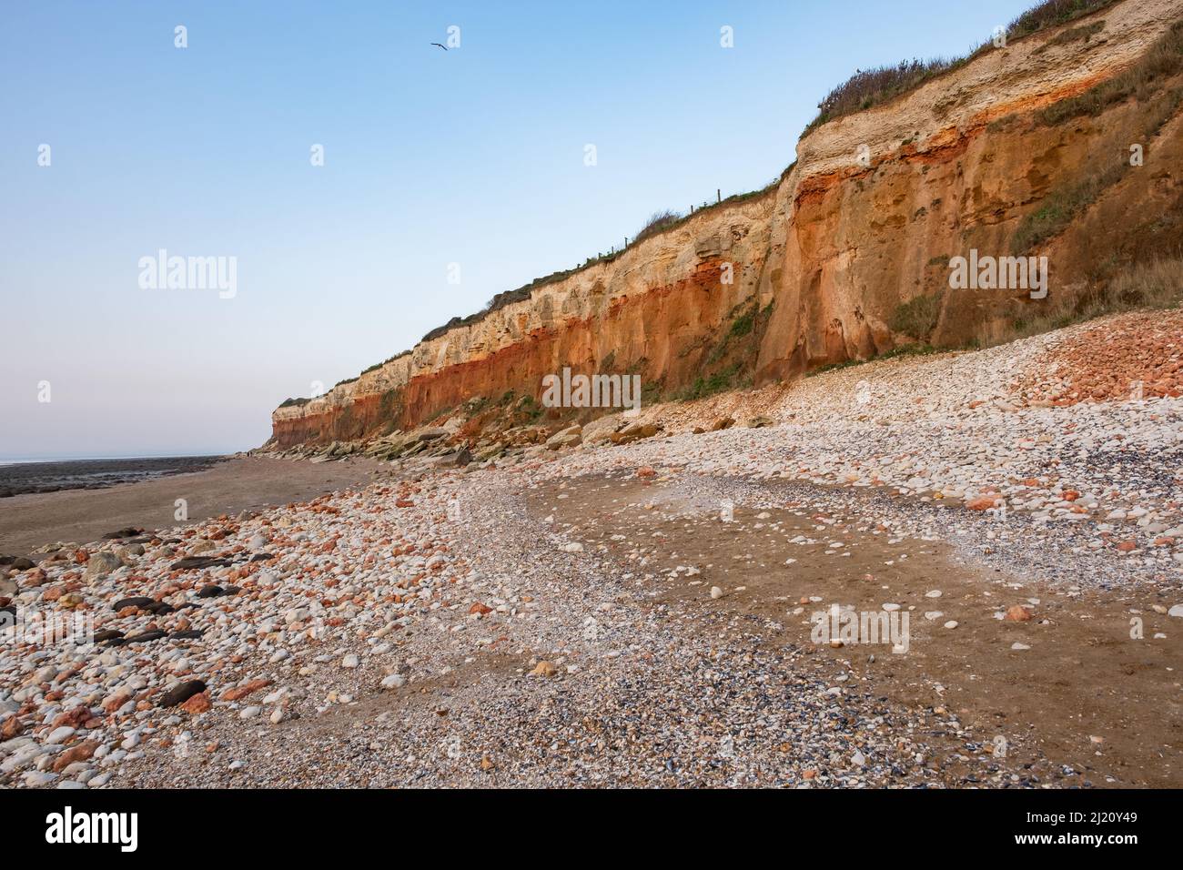 The red and white striped cliffs of Hunstanton beach on the North ...