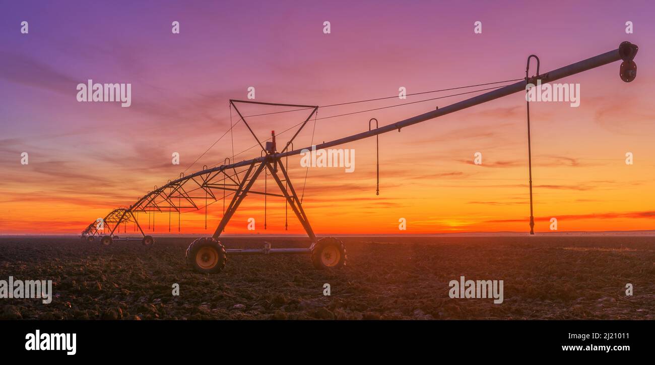 Lateral move agricultural irrigation system on plowed field in sunset ...