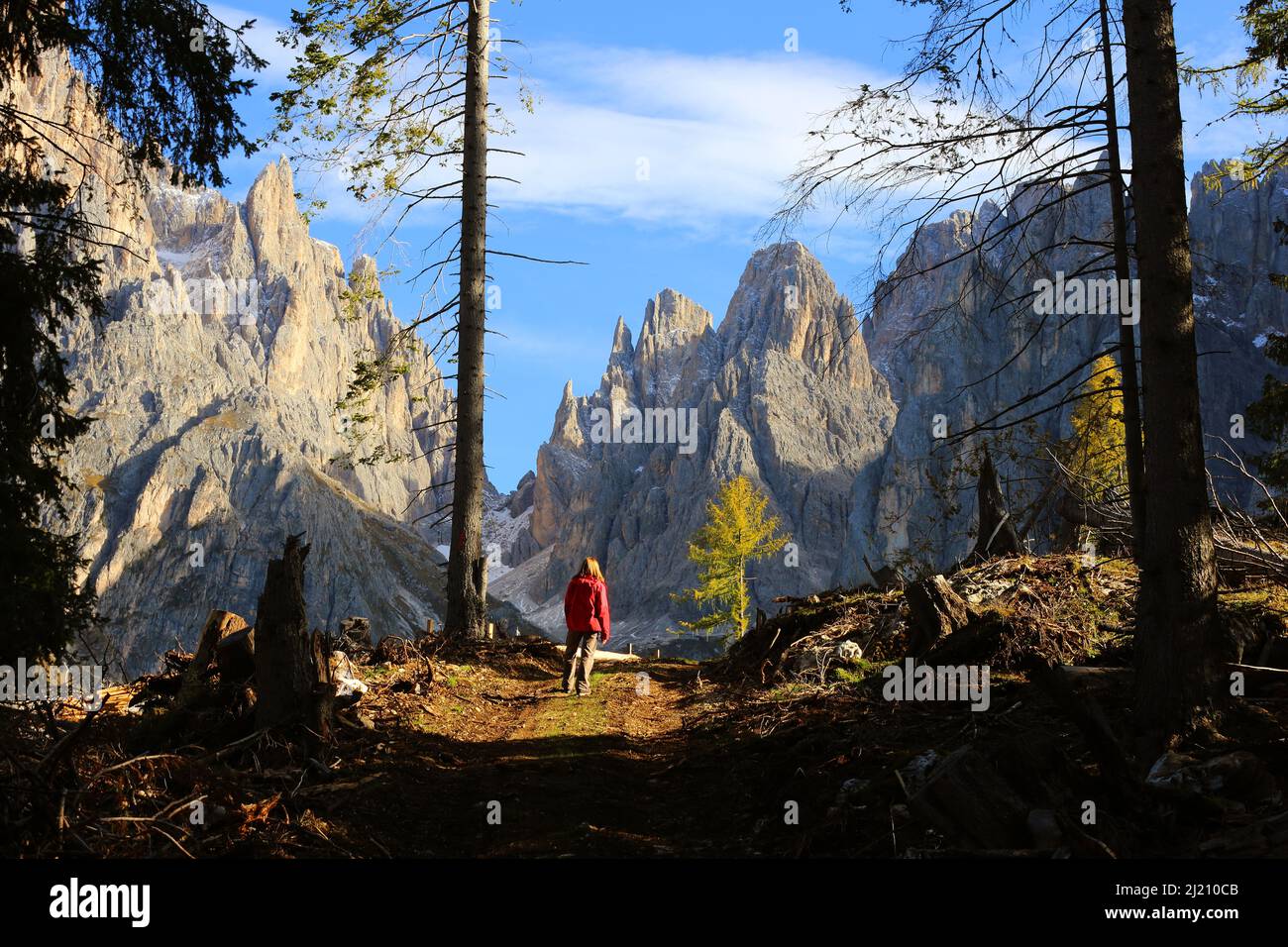 Langkofel, Berg, Fels, Dolomiten, Panorama mit atemberaubender ...