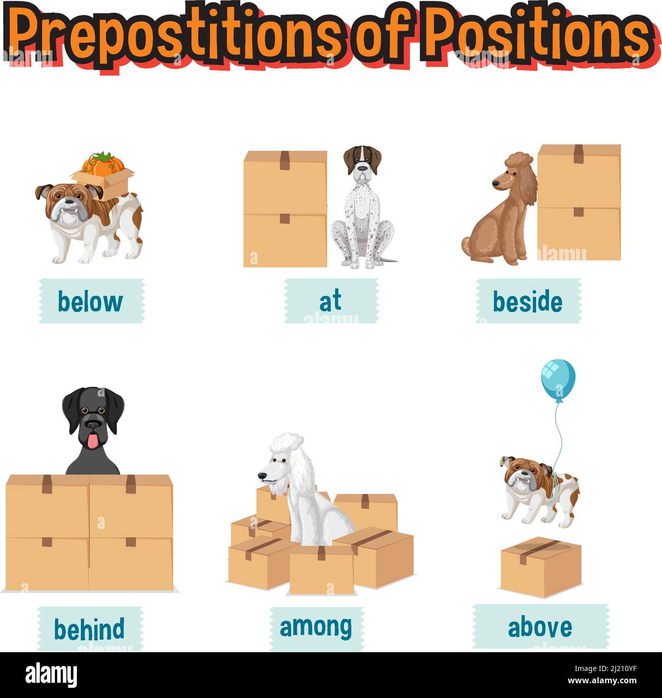 Preposition wordcard with box and dog illustration Stock Vector Image ...