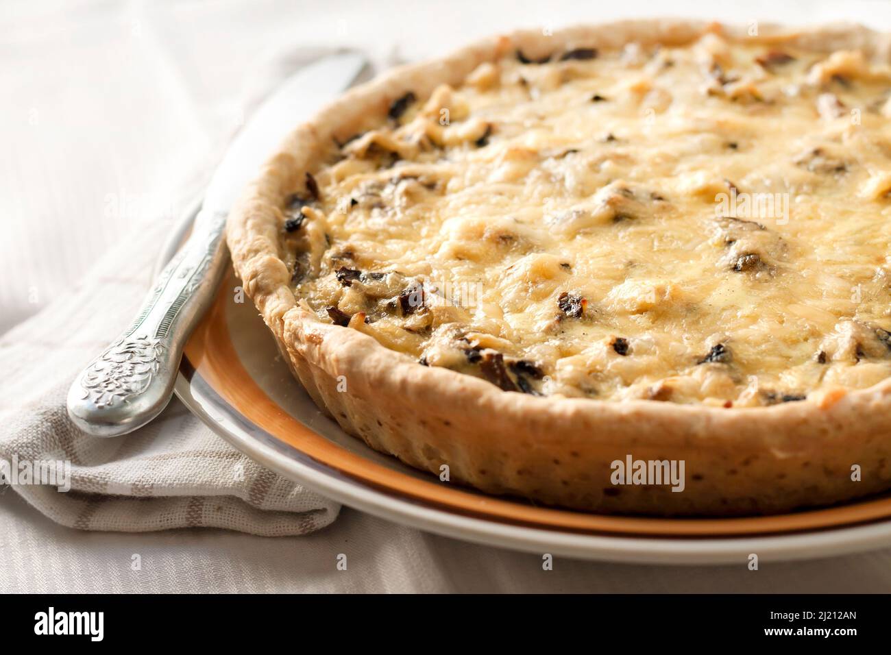 Chicken tart with mushrooms and cheese Stock Photo - Alamy