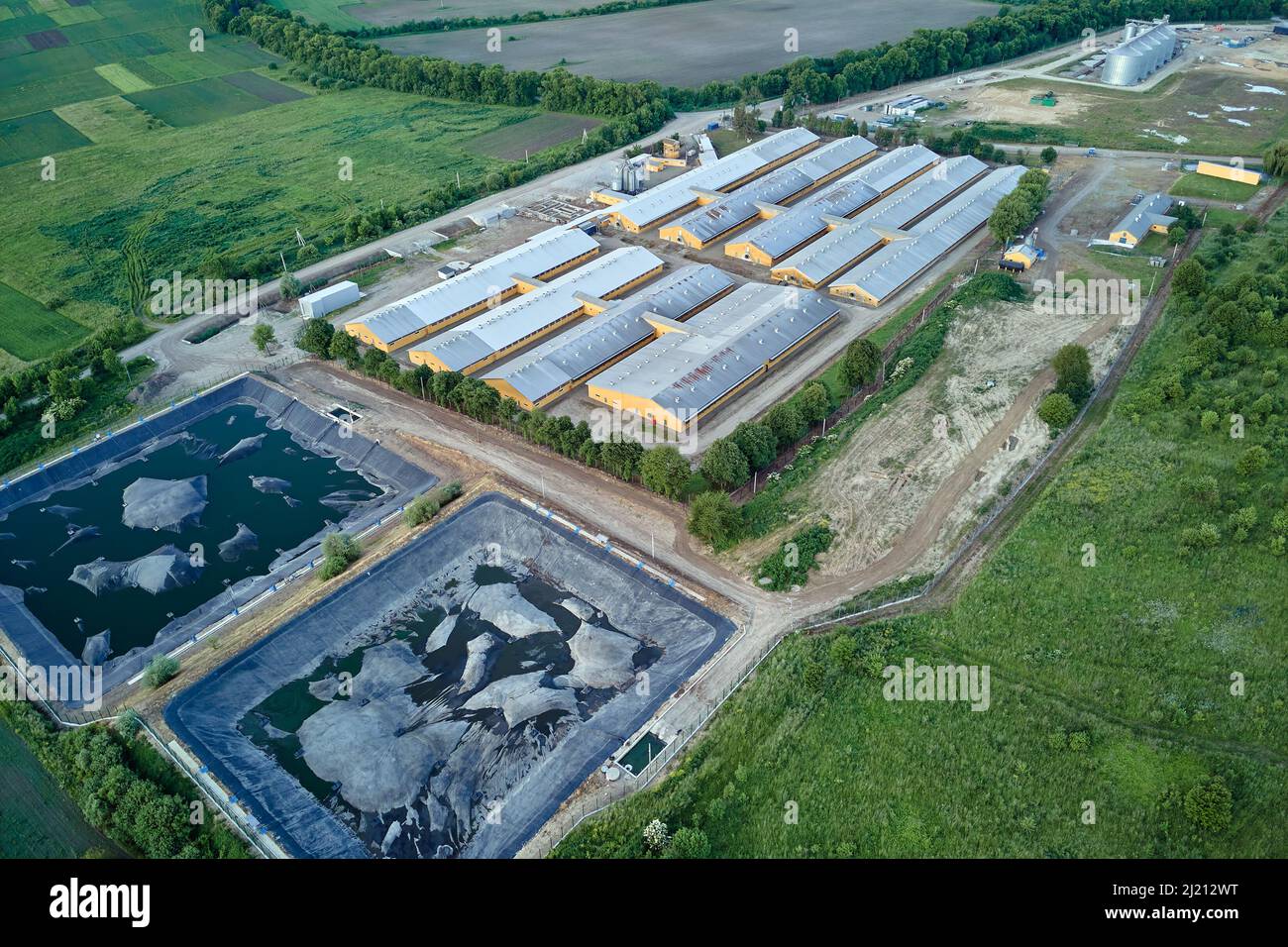Aerial view of cattle farm buildings between green farmlands Stock ...