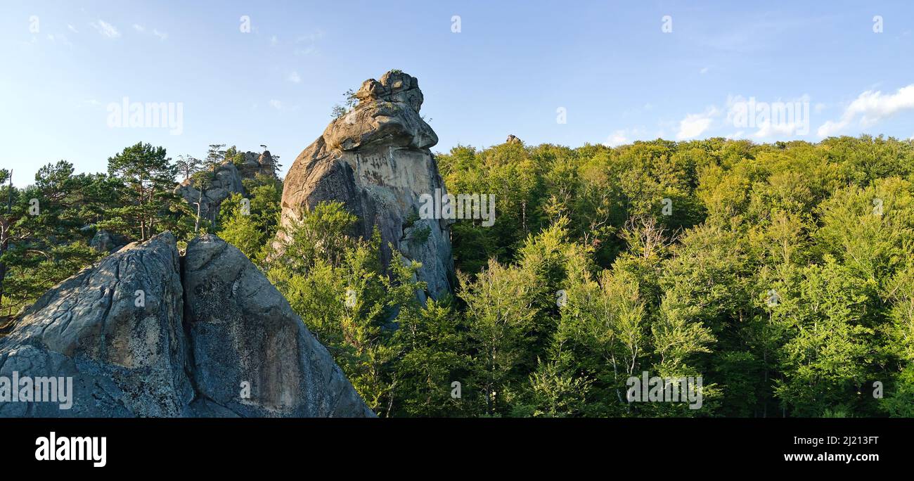 Panoramic view of bright landscape with green forest trees and big ...