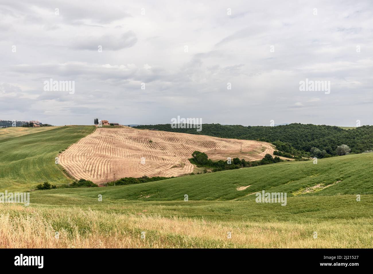 Typical tranquil Tuscan landscape: grassy fields and traditional family ...
