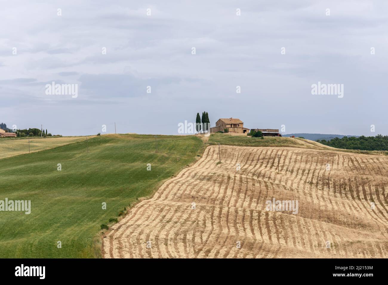 A small local limestone farmhouse with cypress trees in a hilltop yard ...