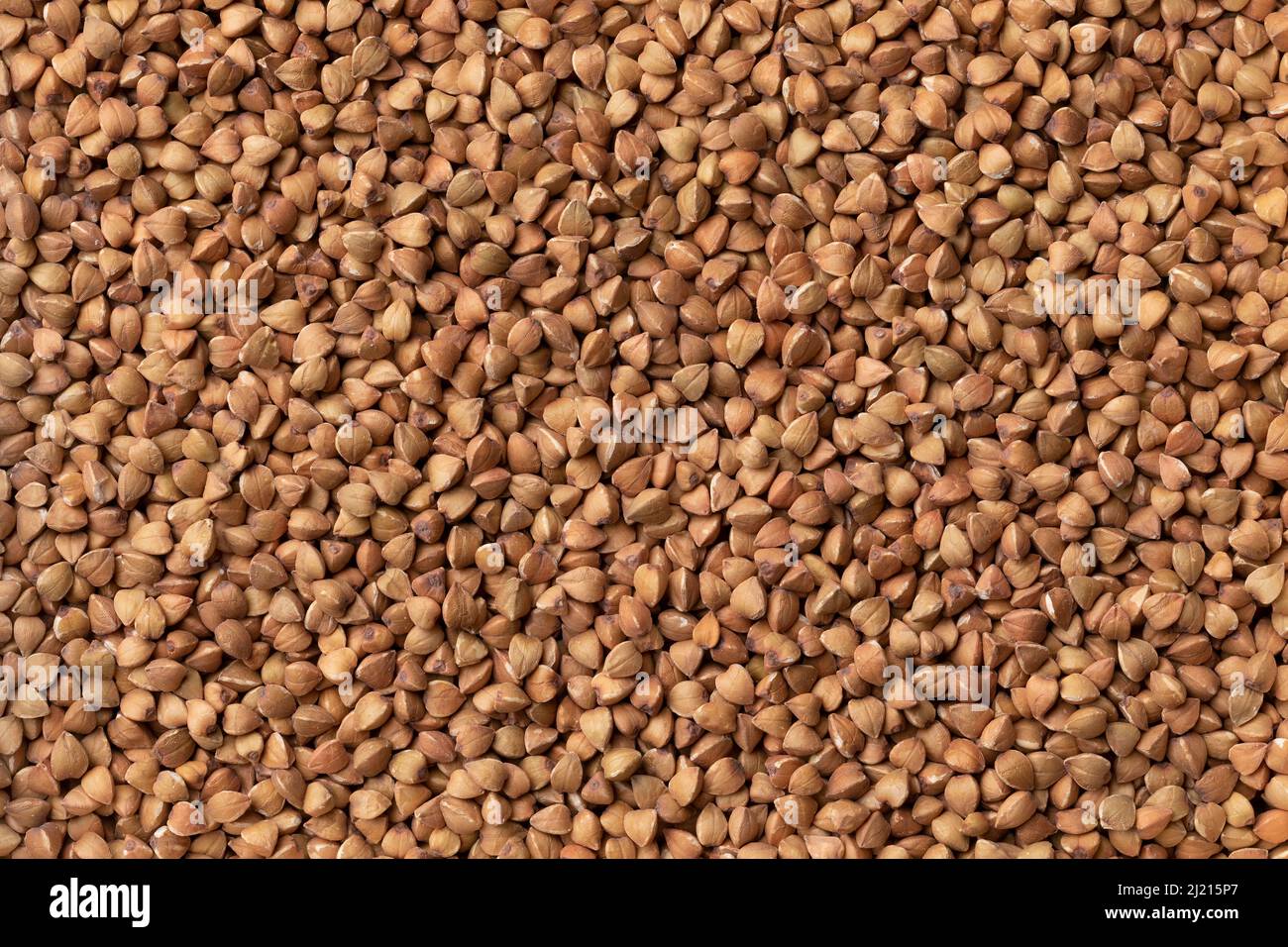 Traditional raw kasha, roasted buckwheat, close up full frame as ...