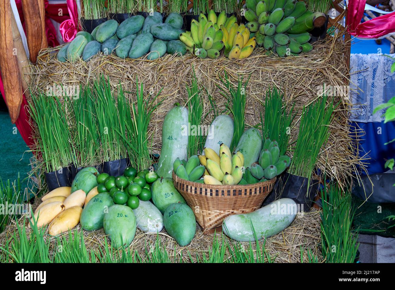 The variety of raw and ripe fruit on dry straw Stock Photo - Alamy