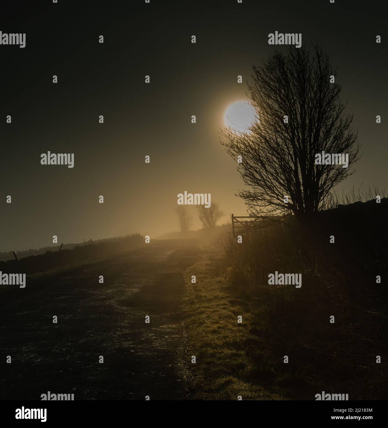 Mist over a moor in Northumberland, UK Stock Photo - Alamy