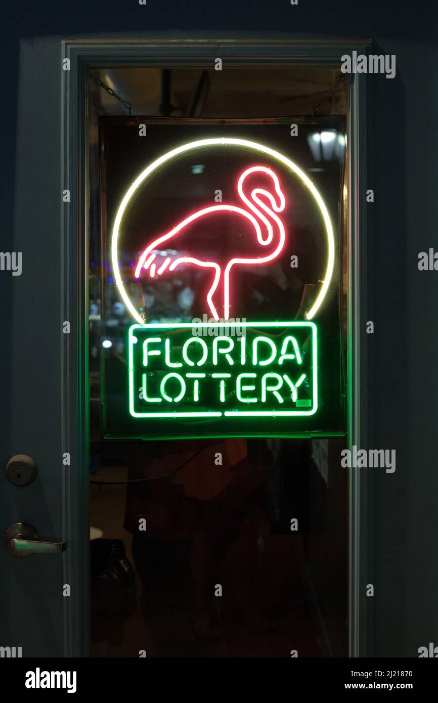 Neon flamingo light hi-res stock photography and images - Alamy