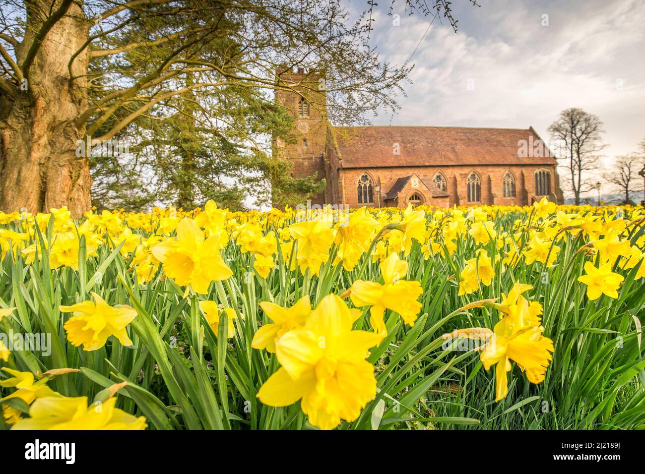 Welcome to the church hi-res stock photography and images - Alamy