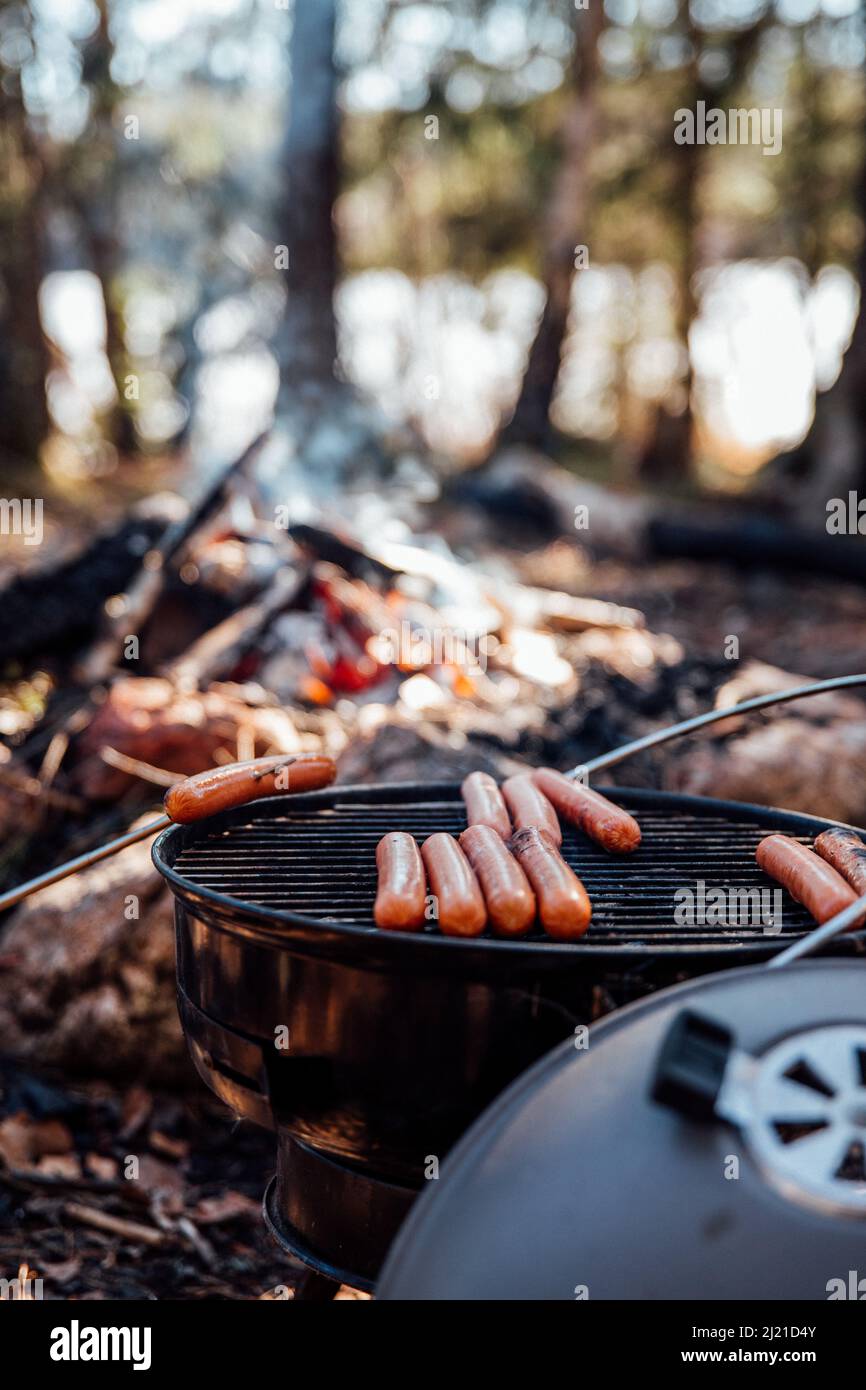 Grill hot dogs in the forest by a fire at a lake Stock Photo - Alamy