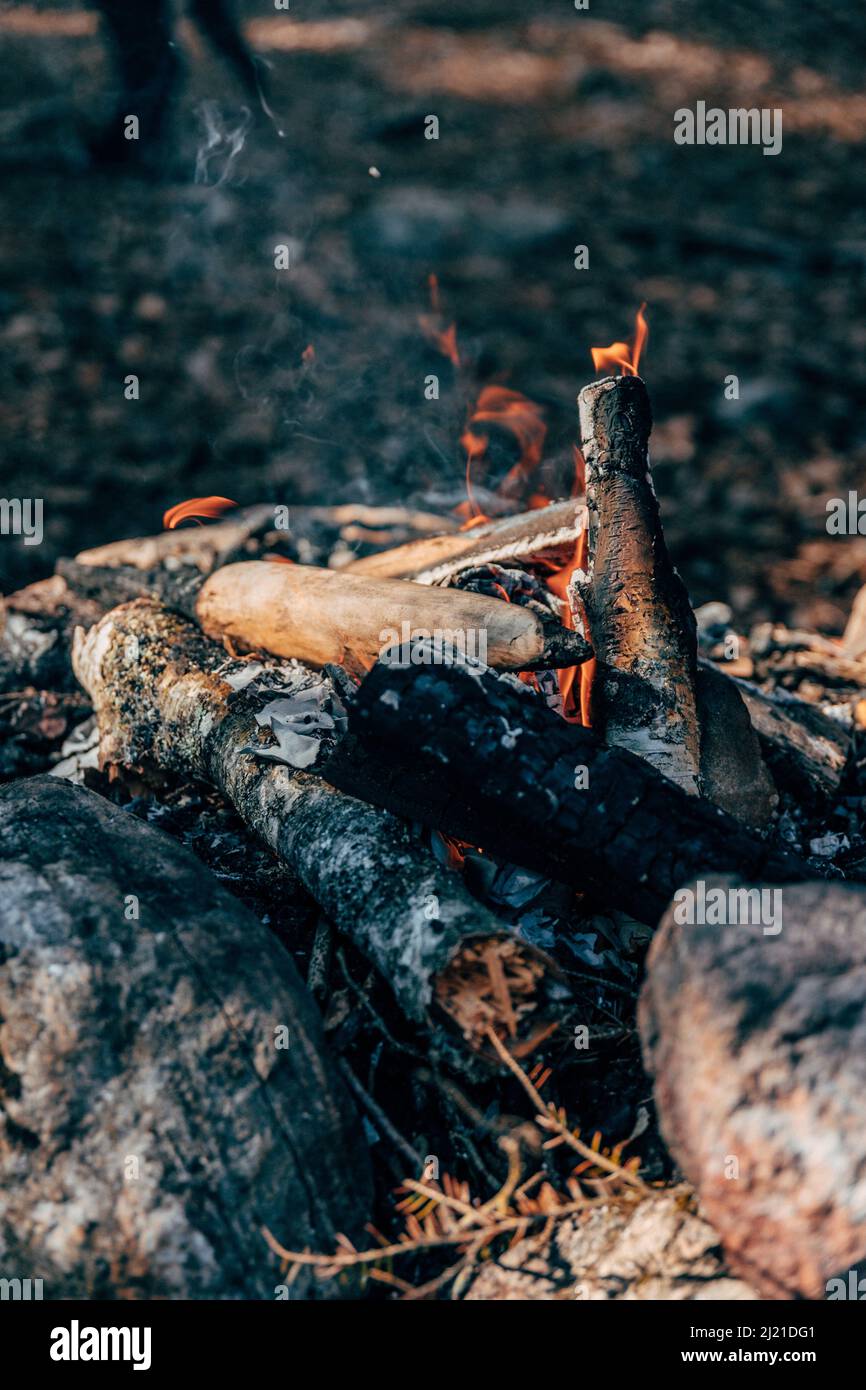 Campfire in the forest hi-res stock photography and images - Alamy
