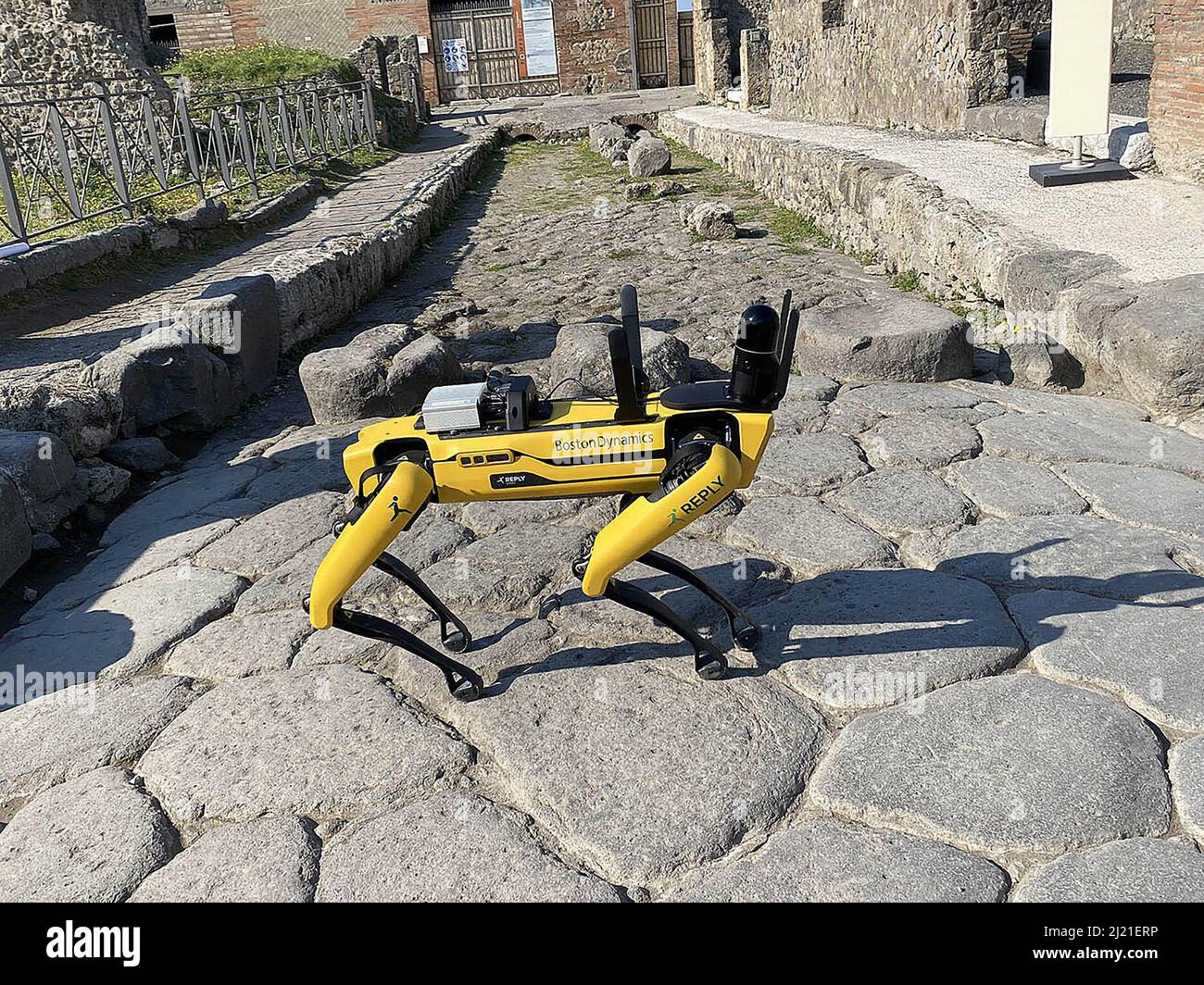 SPOT a quadruped robot at the service of archaeology is tested in ...