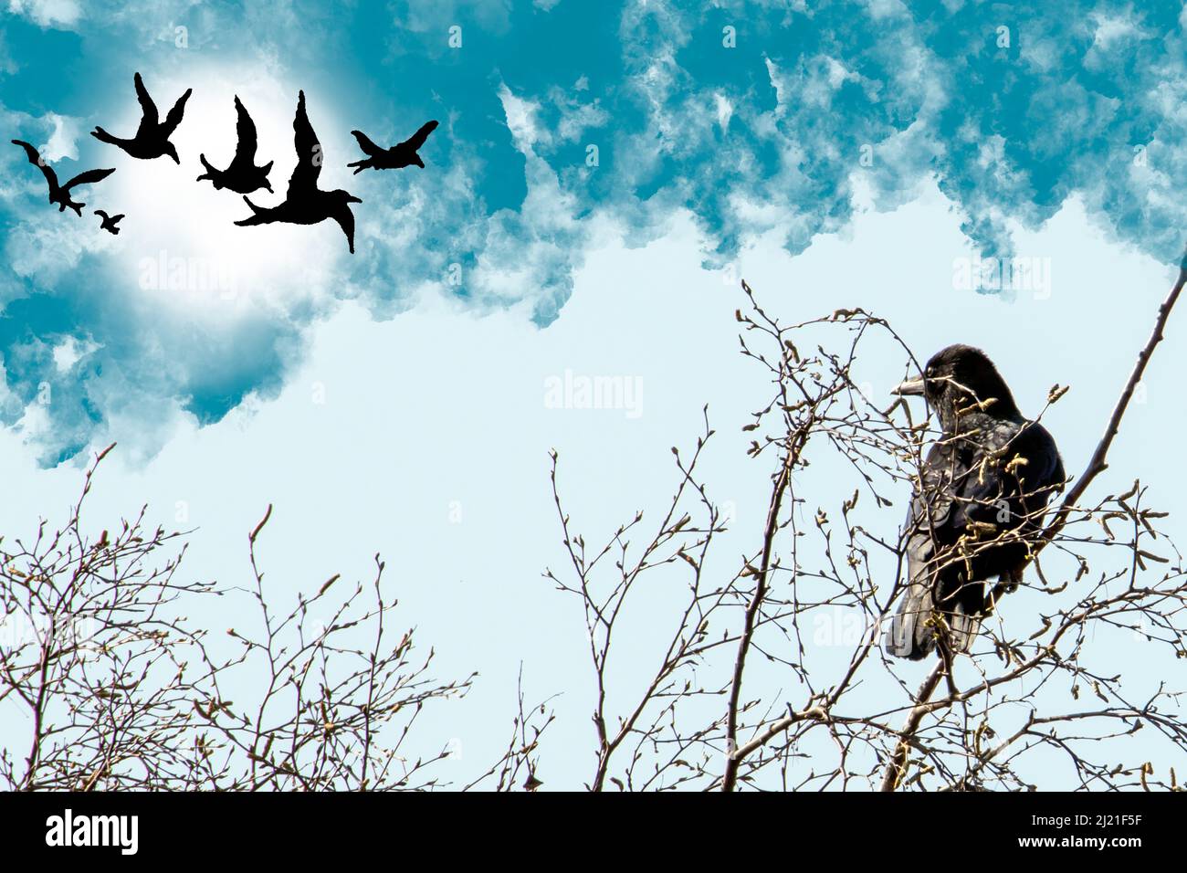 Cloud genus hi-res stock photography and images - Alamy