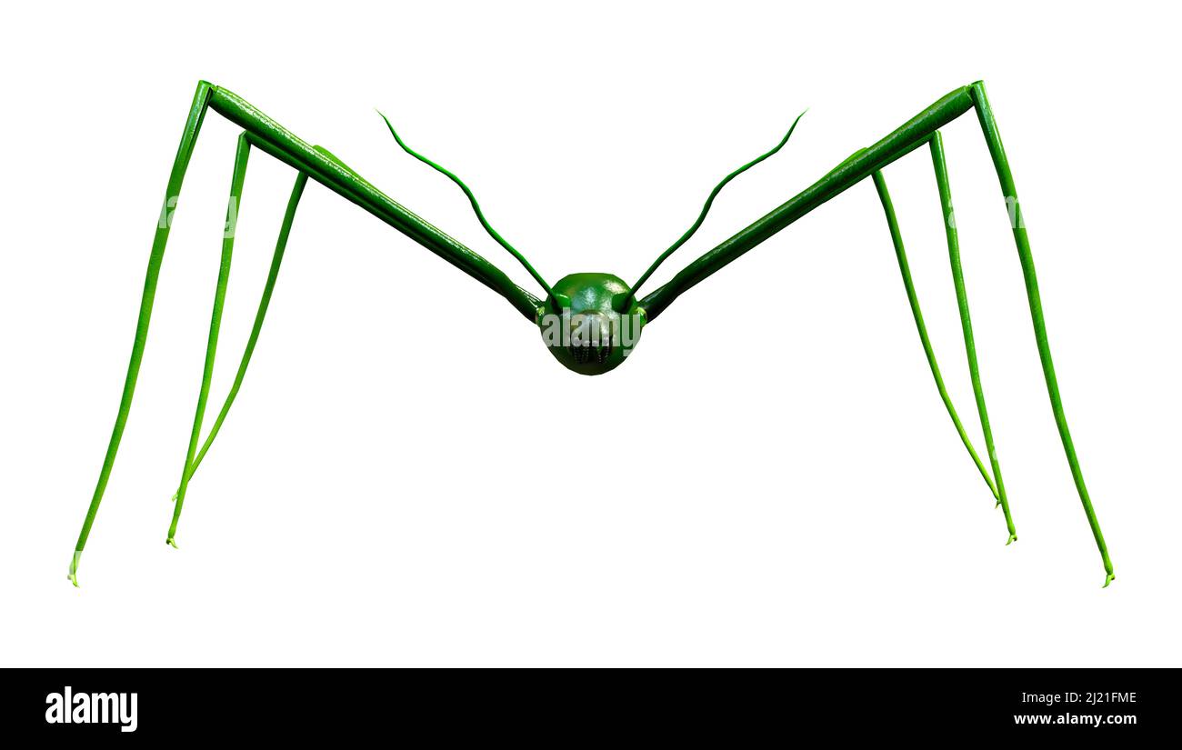3D rendering of a green stick insect isolated on white background Stock ...