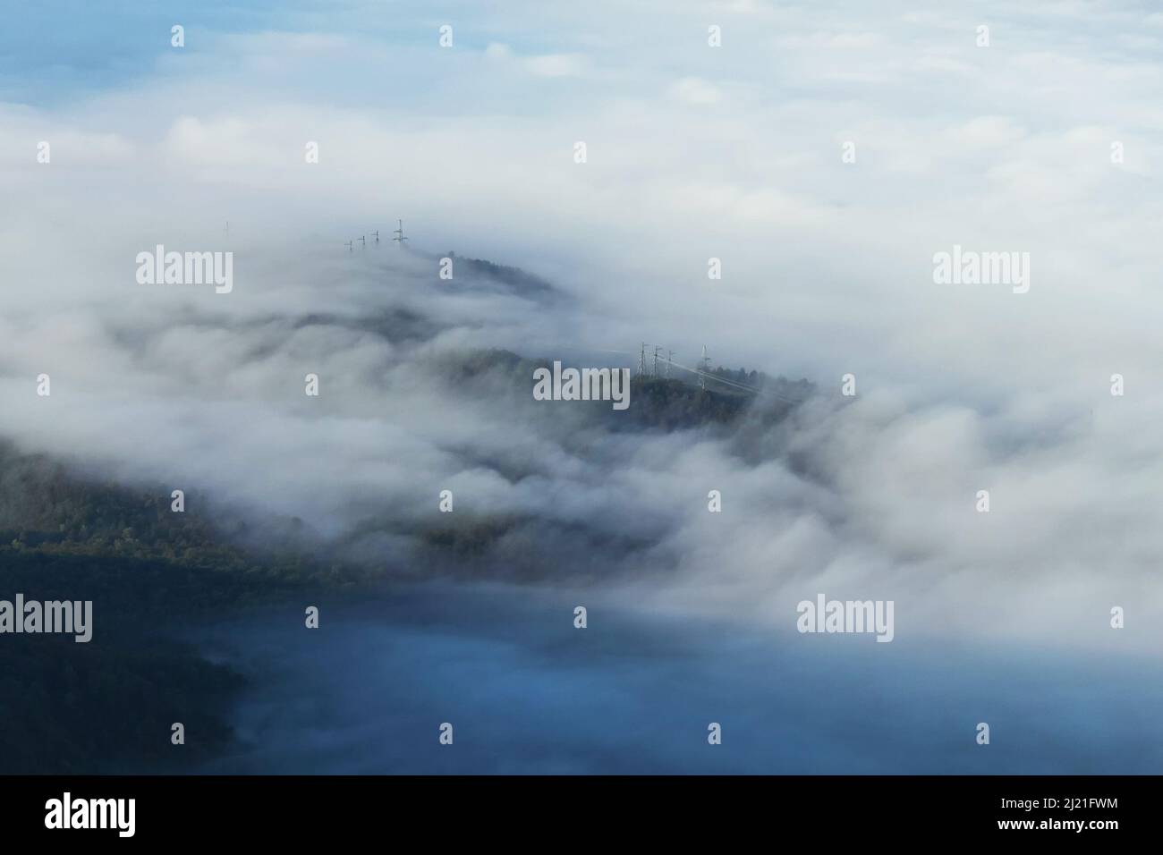The green forest is covered with a thick fog. Power line poles stick ...