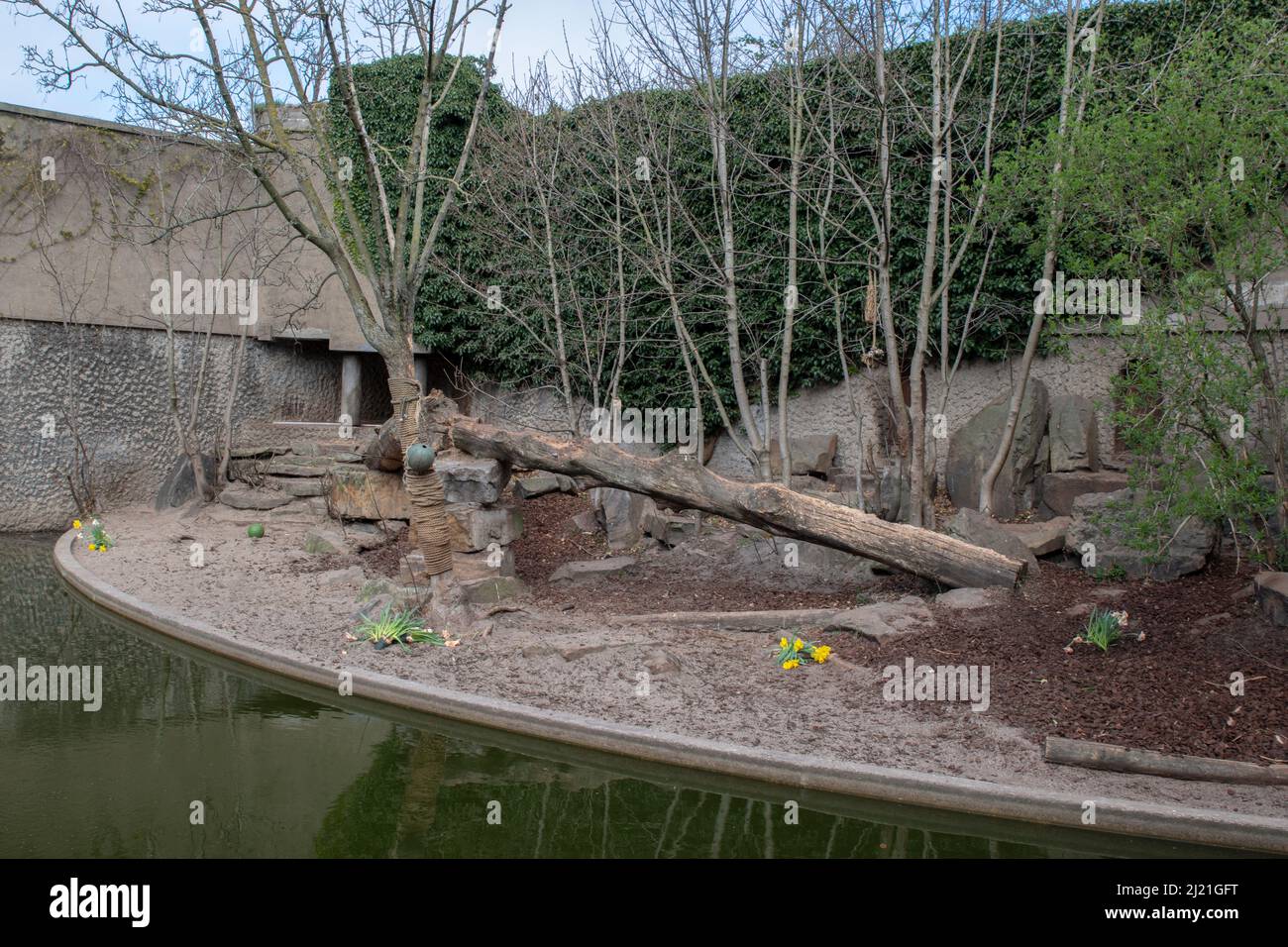 Empty zoo animal cage hi-res stock photography and images - Alamy