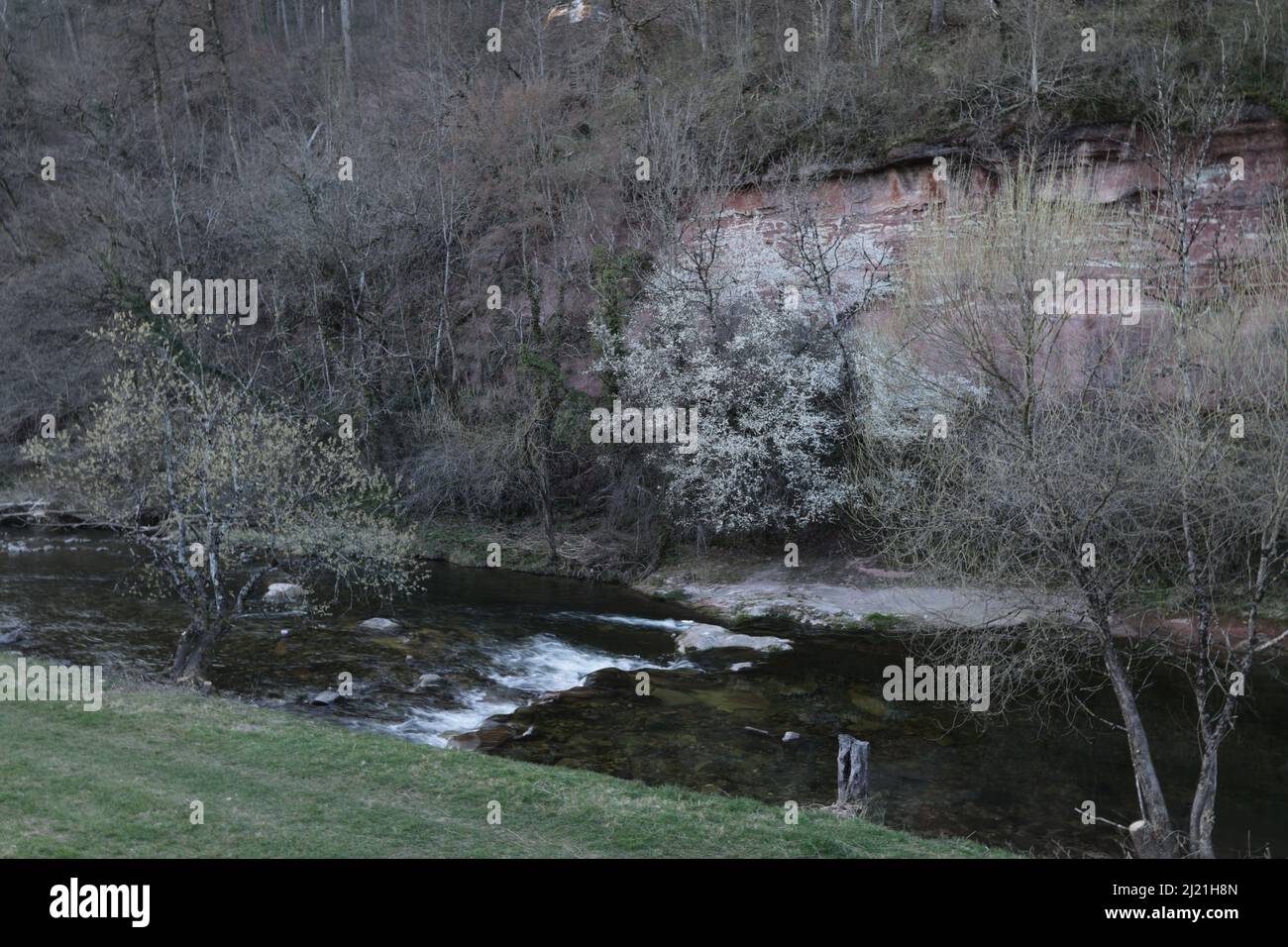 Impressionen aus Schopfheim im Schwarzwald Stock Photo - Alamy