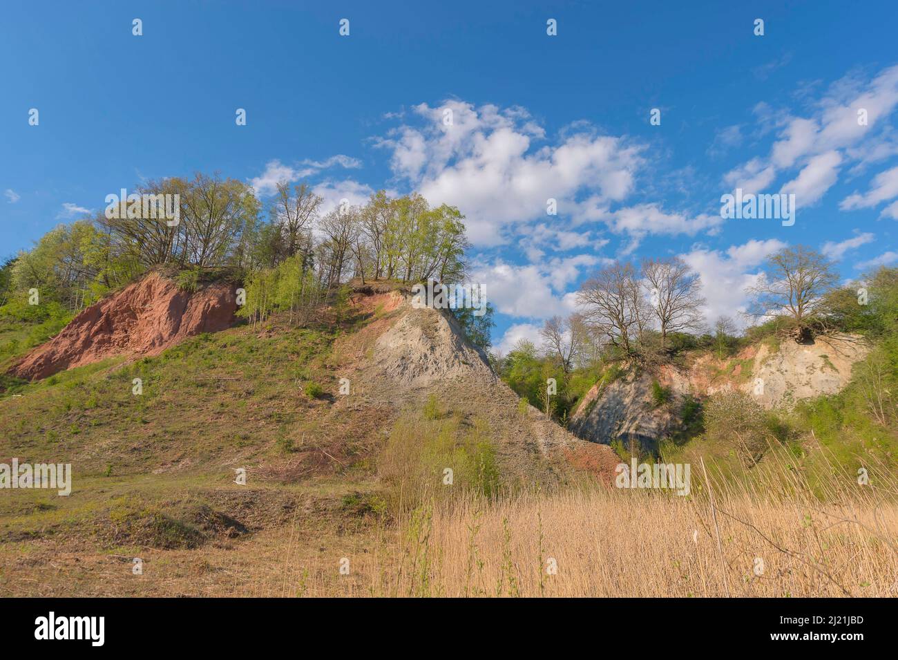 lime pit Lieth, national geotop, Germany, Schleswig-Holstein Stock ...