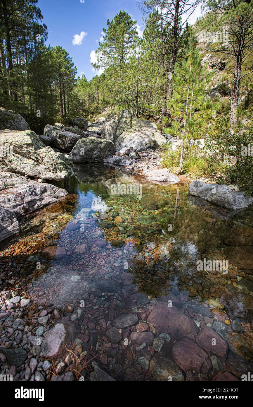 , river Asco, France, Corsica, Asco Stock Photo - Alamy