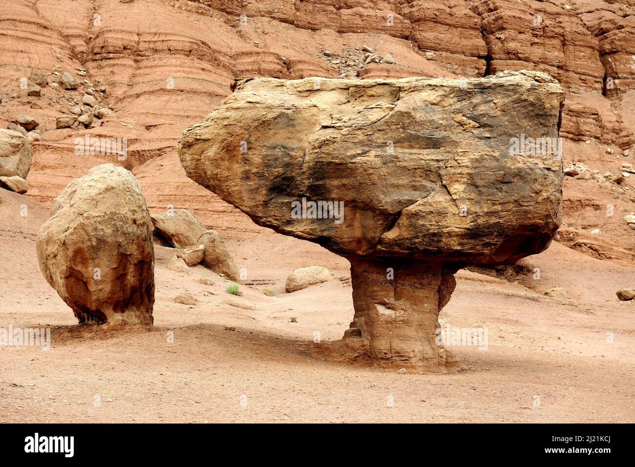 rock formation Balanced Rocks, USA, Arizona, Marble Canyon, Lees Ferry ...
