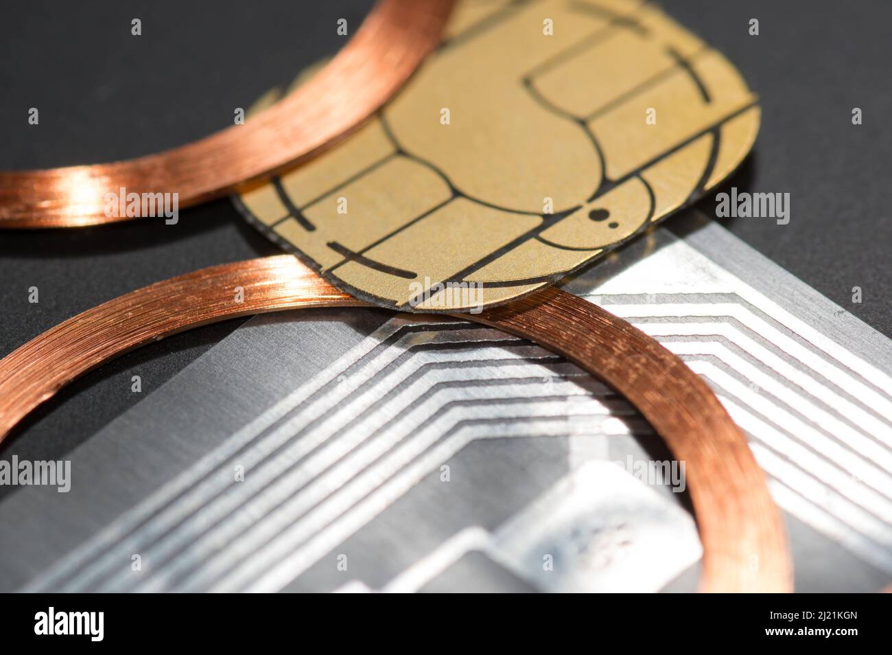 Different chip types with contact chip, RFID chip and other ID ...