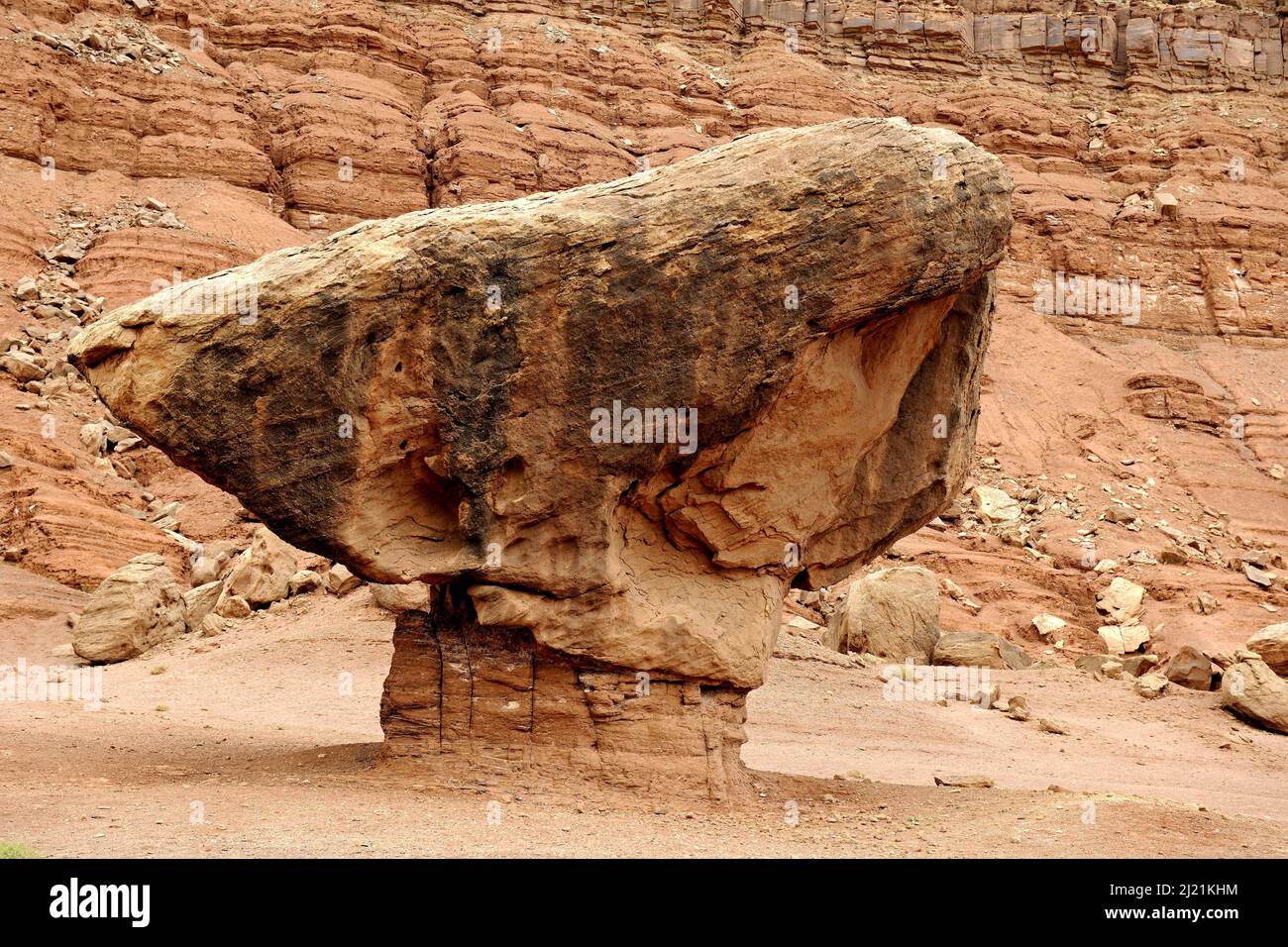 rock formation Balanced Rocks, USA, Arizona, Marble Canyon, Lees Ferry ...