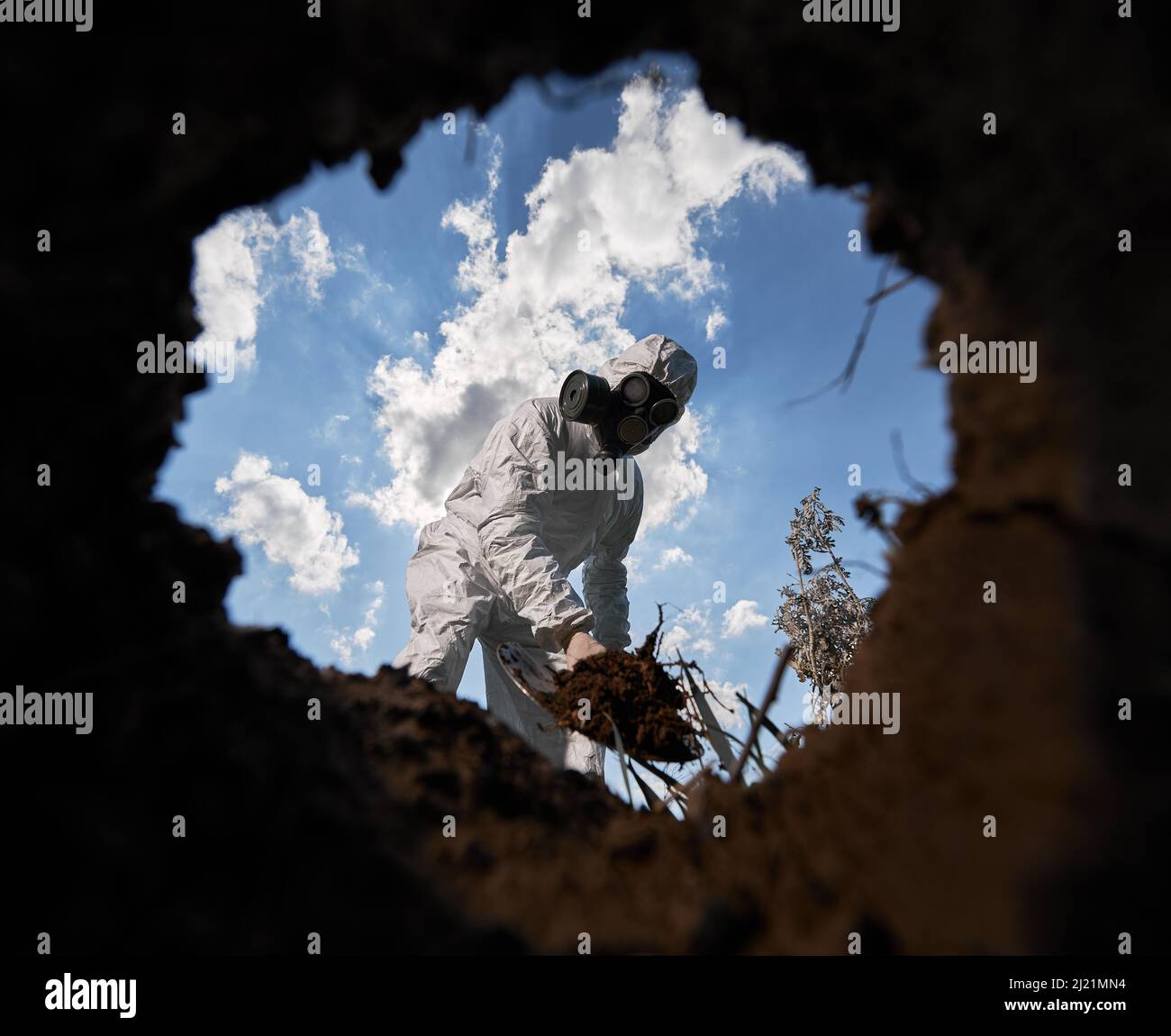 View from inside pit of ecologist digging pit by shovel and planting ...