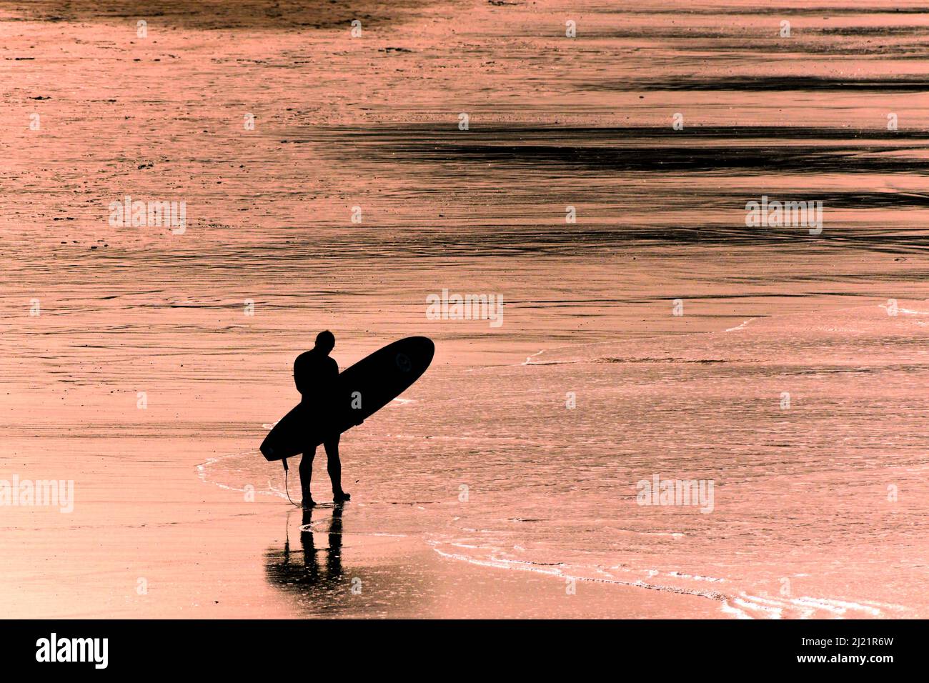 A surfer carrying a surfboard silhouetted by an intense sunset over ...