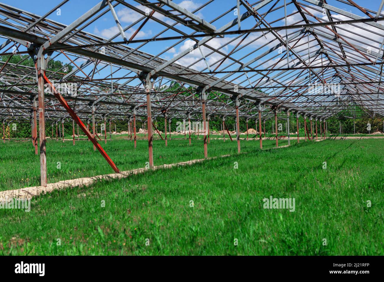 Hothouse framework . Abandoned glasshouse with metal framework Stock ... Hothouse framework . Abandoned glasshouse with metal framework Stock ...